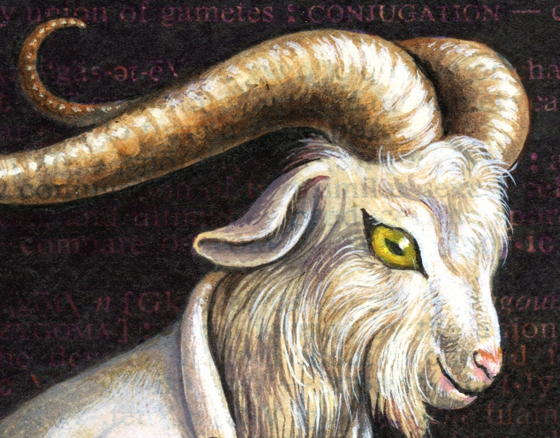 Funny Craft Beer Painting 6x6 Zymology: Goat Scientist - Etsy