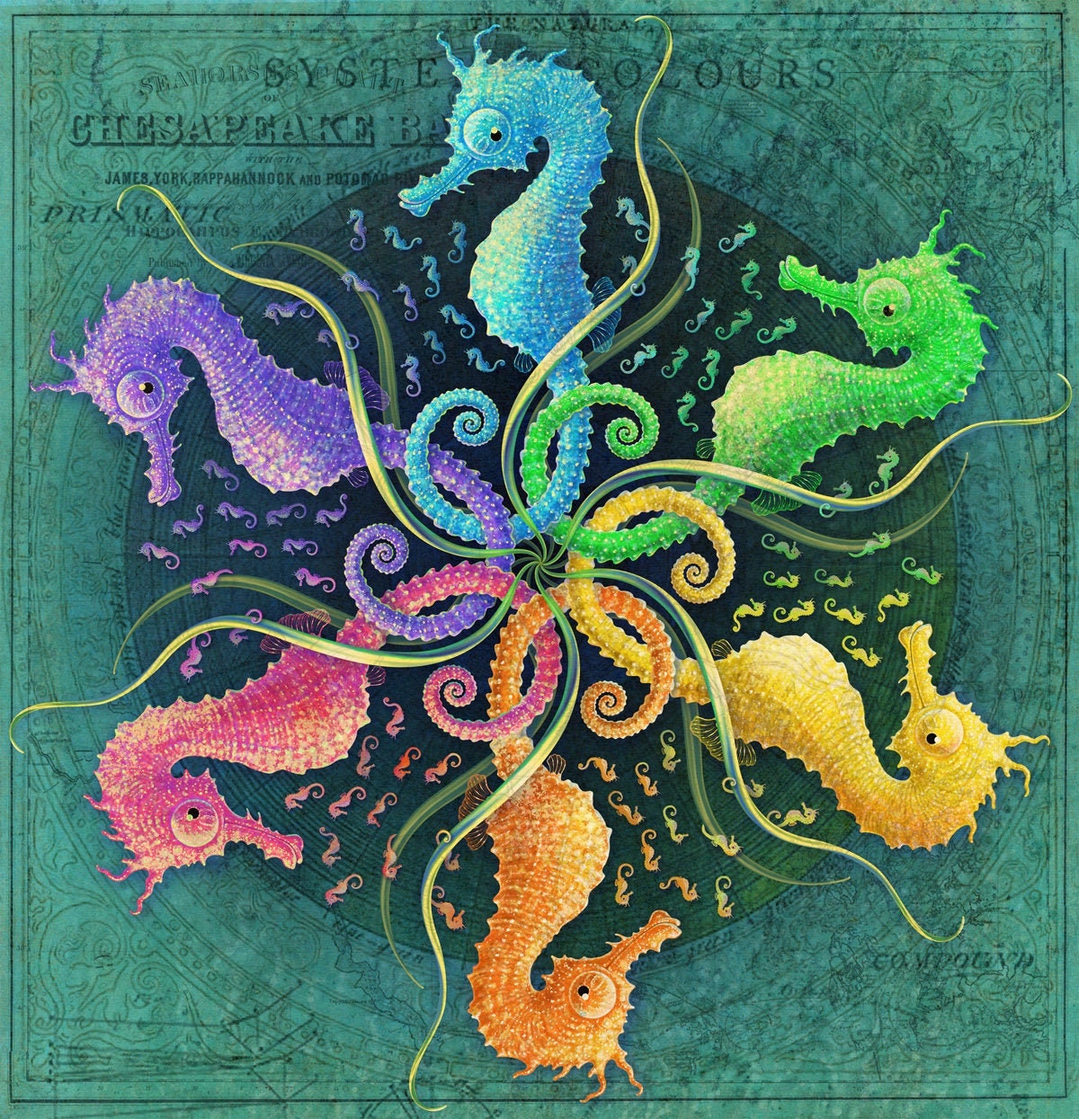 Rainbow Seahorses