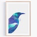 Tui Print Native New Zealand Birds Art Print Bird Illustration Kiwi Art ...