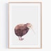 Kiwi Print - Kiwi Illustration - Kiwi Art - New Zealand Kiwi ...