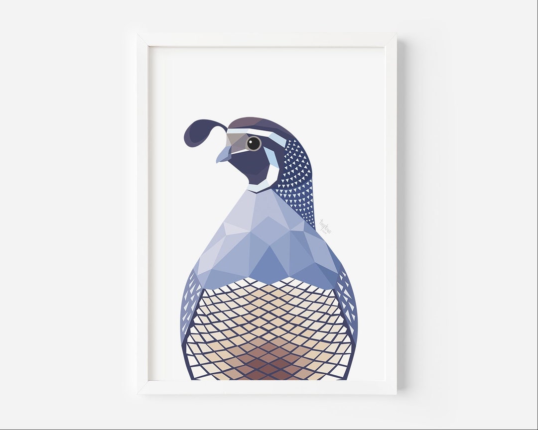 Quail Print - Quail Illustration - Bird Art - Quail Decor - Geometric ...