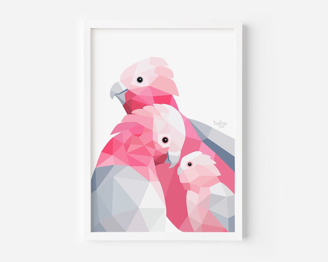 Galah Print Galah Illustration Galah Art Bird Family Animal Family Art ...