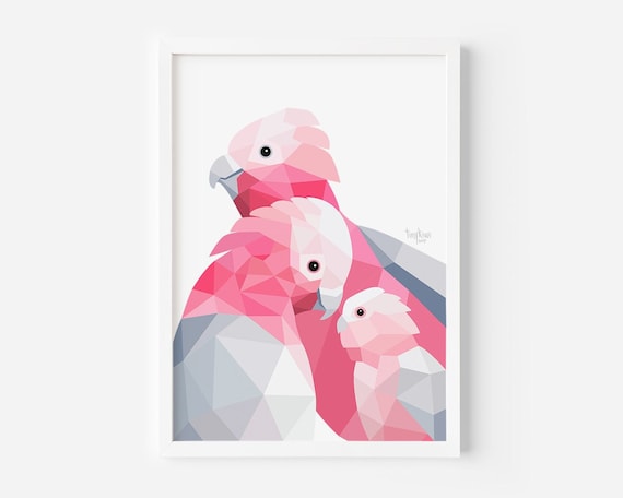 Galah Print Galah Illustration Galah Art Bird Family | Etsy