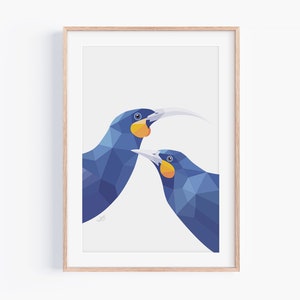 Huia Print | Huia Art | Huia Painting | Extinct New Zealand Birds ...