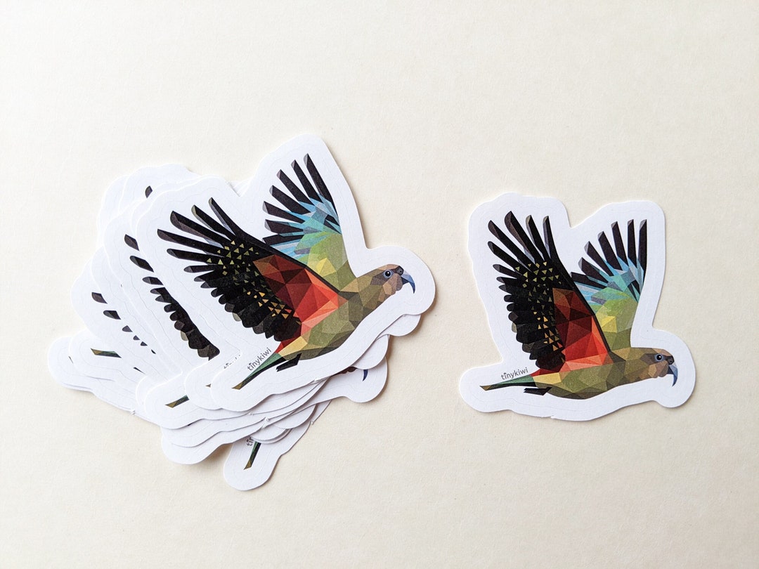 New Zealand Kea Bird Sticker: Minimalist Art Decal - Etsy