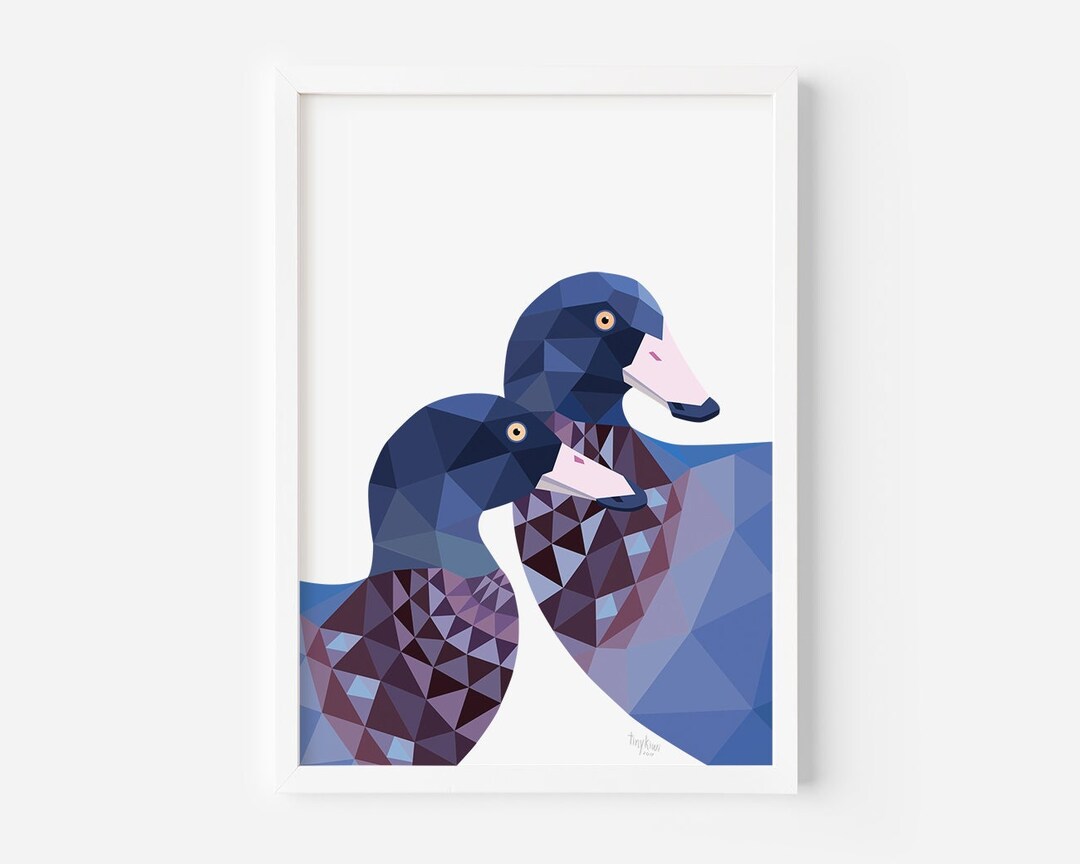 Blue Duck Print | Whio Print | Duck Art | New Zealand Print | New ...