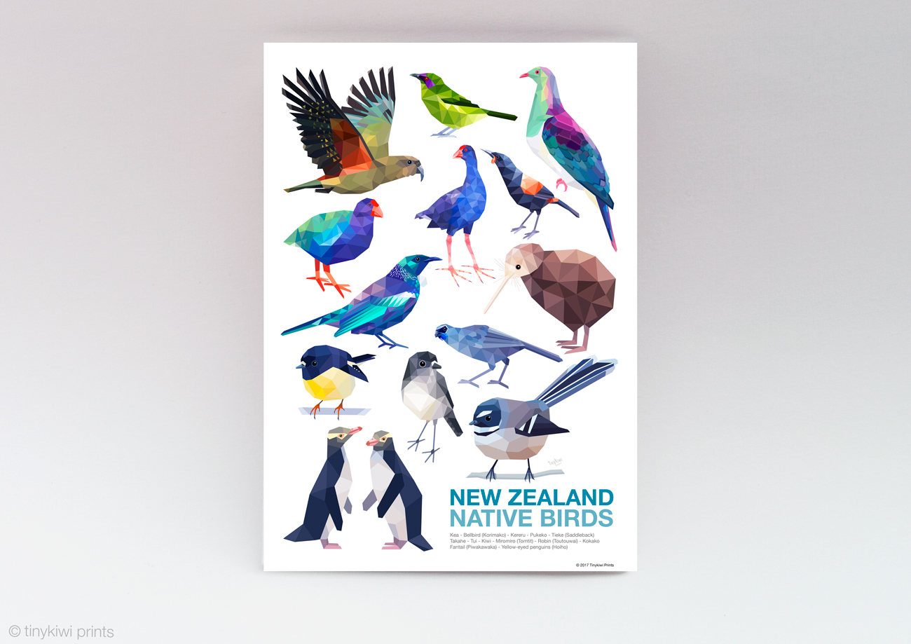 New Zealand bird print Native NZ birds New Zealand classroom | Etsy