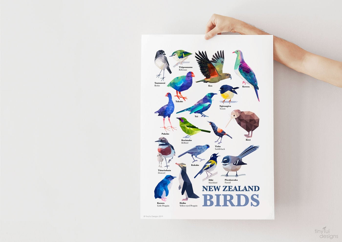 New Zealand birds poster, Native kiwi birds, New Zealand print, New ...
