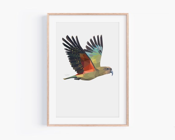 Kea Print Kea Art New Zealand Bird Kea Bird Kiwiana | Etsy