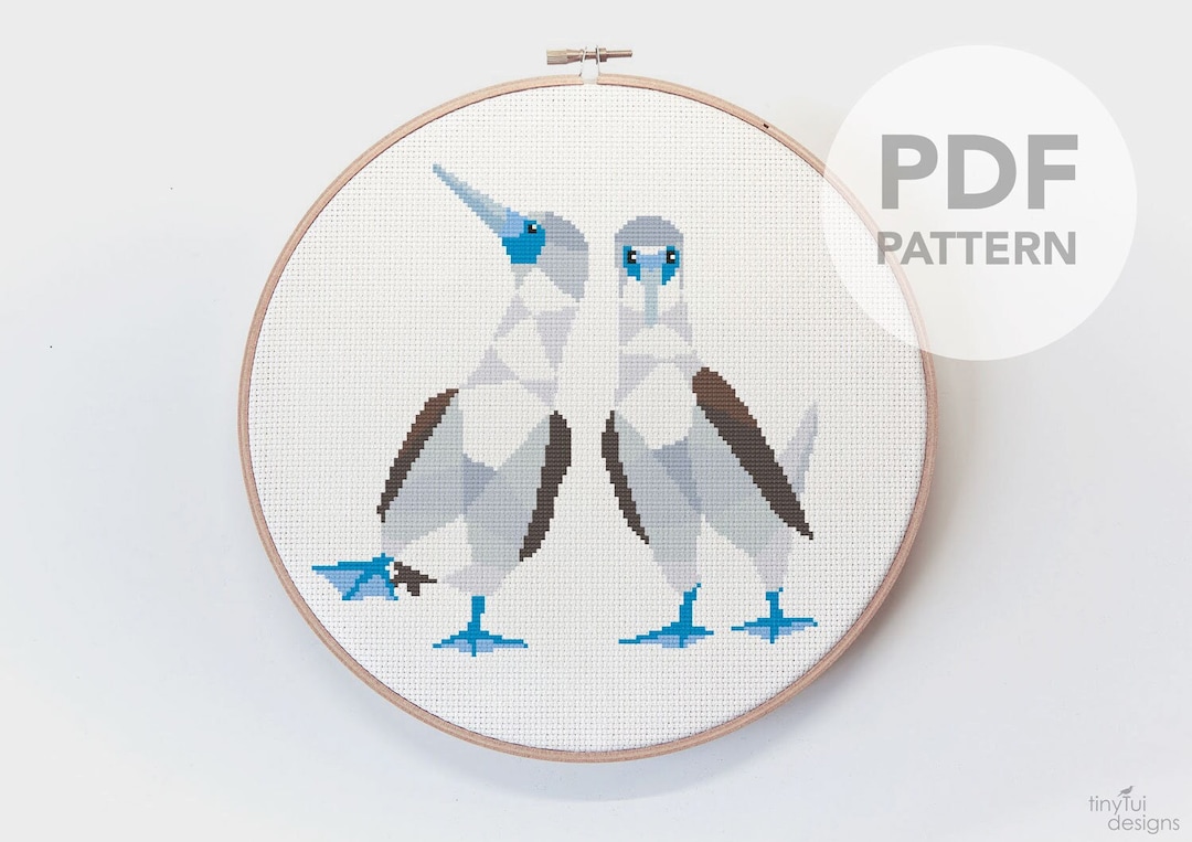 Blue-footed Booby Pair Cross Stitch Pattern (PDF Pattern) - Etsy