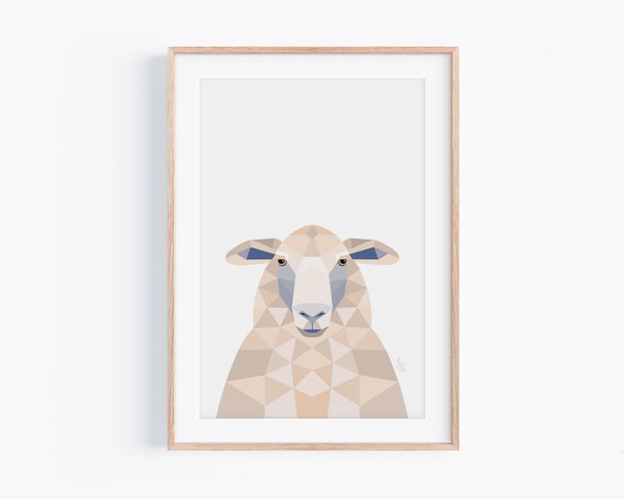 Sheep Illustration