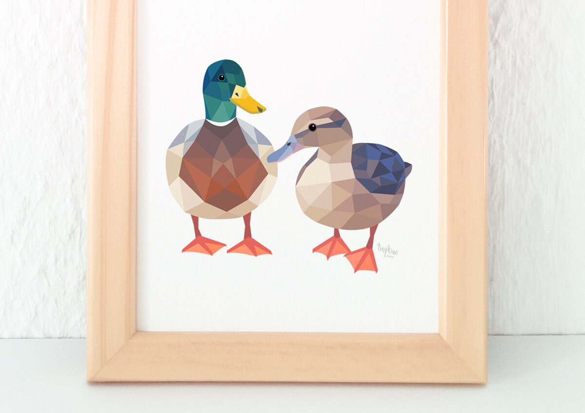 Mallard duck print, Duck pair illustration, New Zealand duck, Duck ...