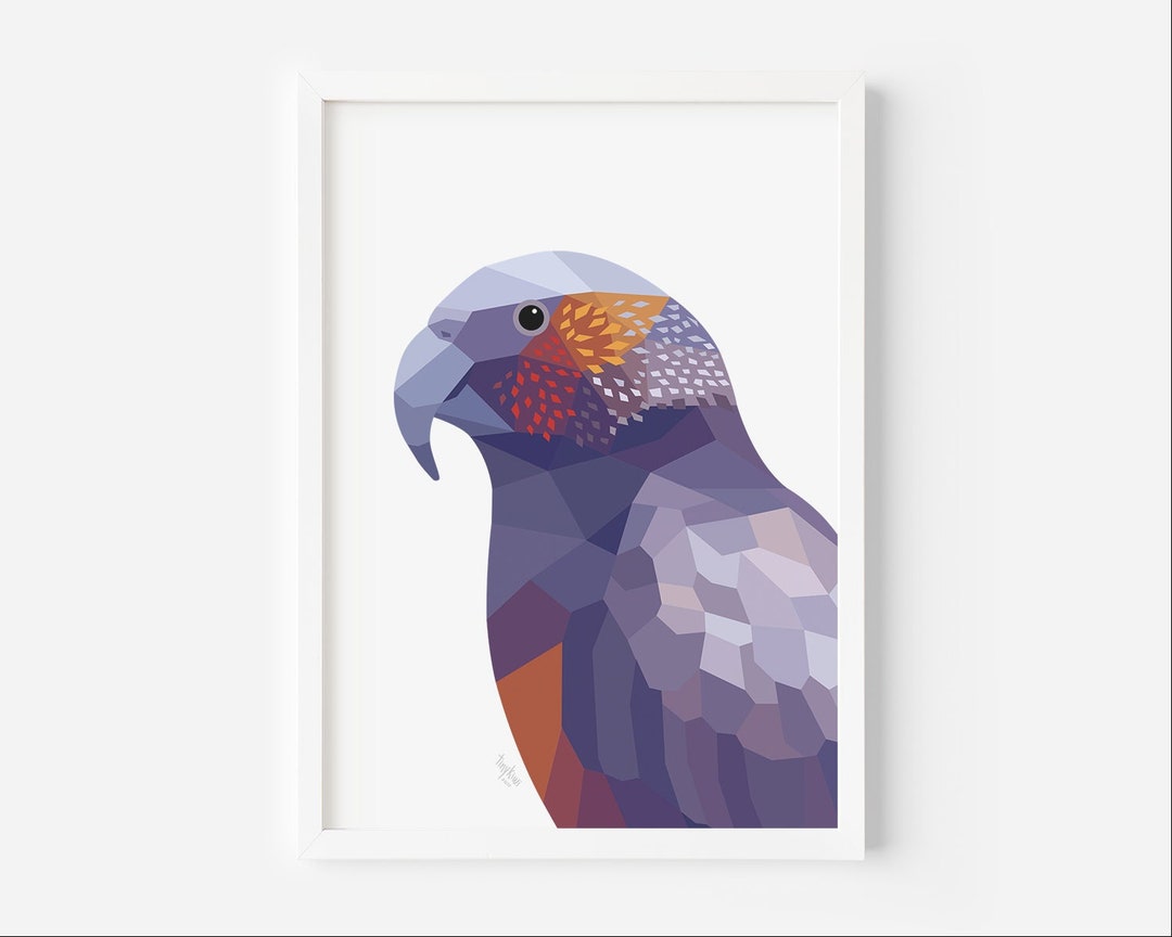 Kaka Print - New Zealand Bird - New Zealand Parrot - Zealandia ...