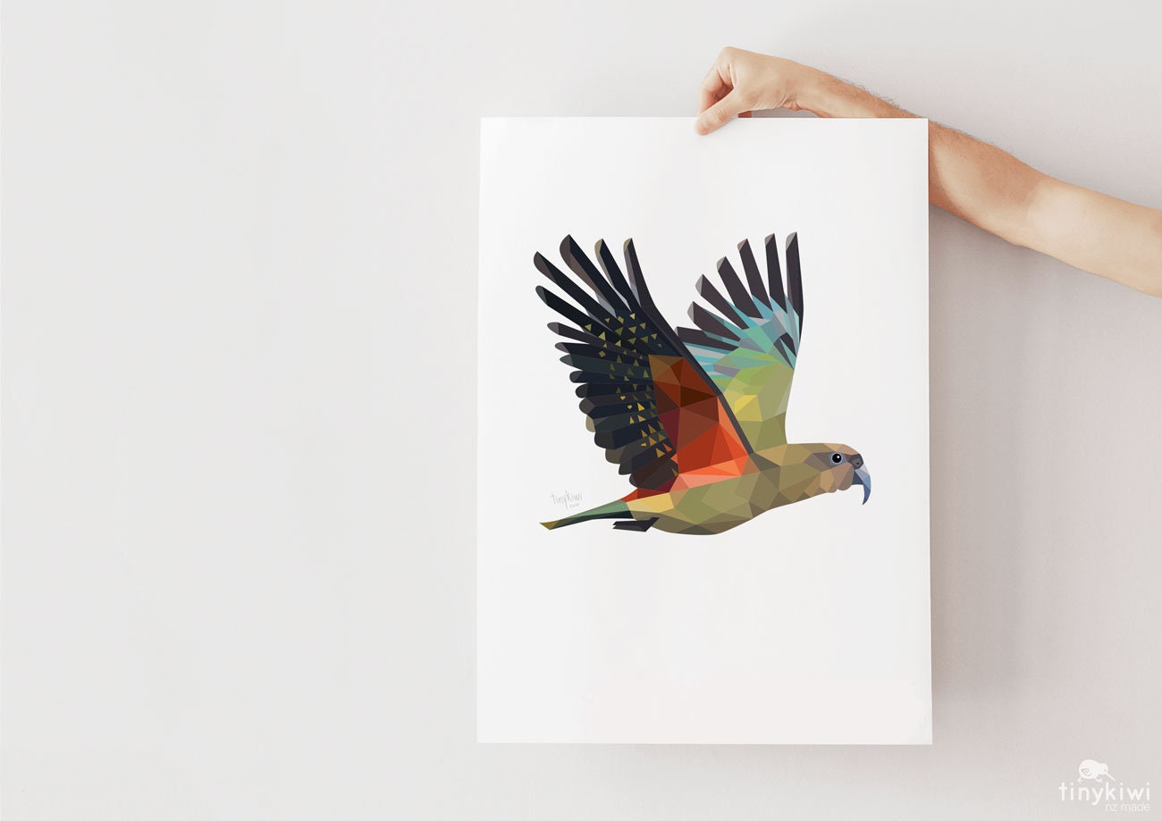Kea print, Kea illustration, New Zealand bird, Kea art, Mountain parrot ...