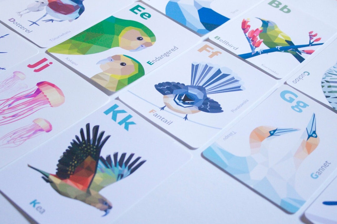New Zealand ABC 26 Card Set Alphabet Art New Zealand Birds New Zealand ...