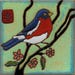 Ceramic Tile Bluebird Audubon Kitchen Back Splash Mosaic Hot Plate ...