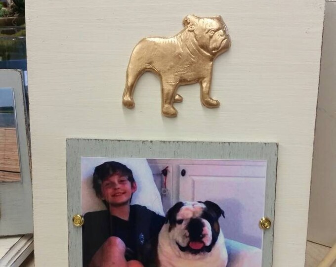 Bulldog on Handmade Wood Picture Frame Painted White and - Etsy