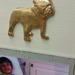 Bulldog on Handmade Wood Picture Frame - Painted White and Distressed ...
