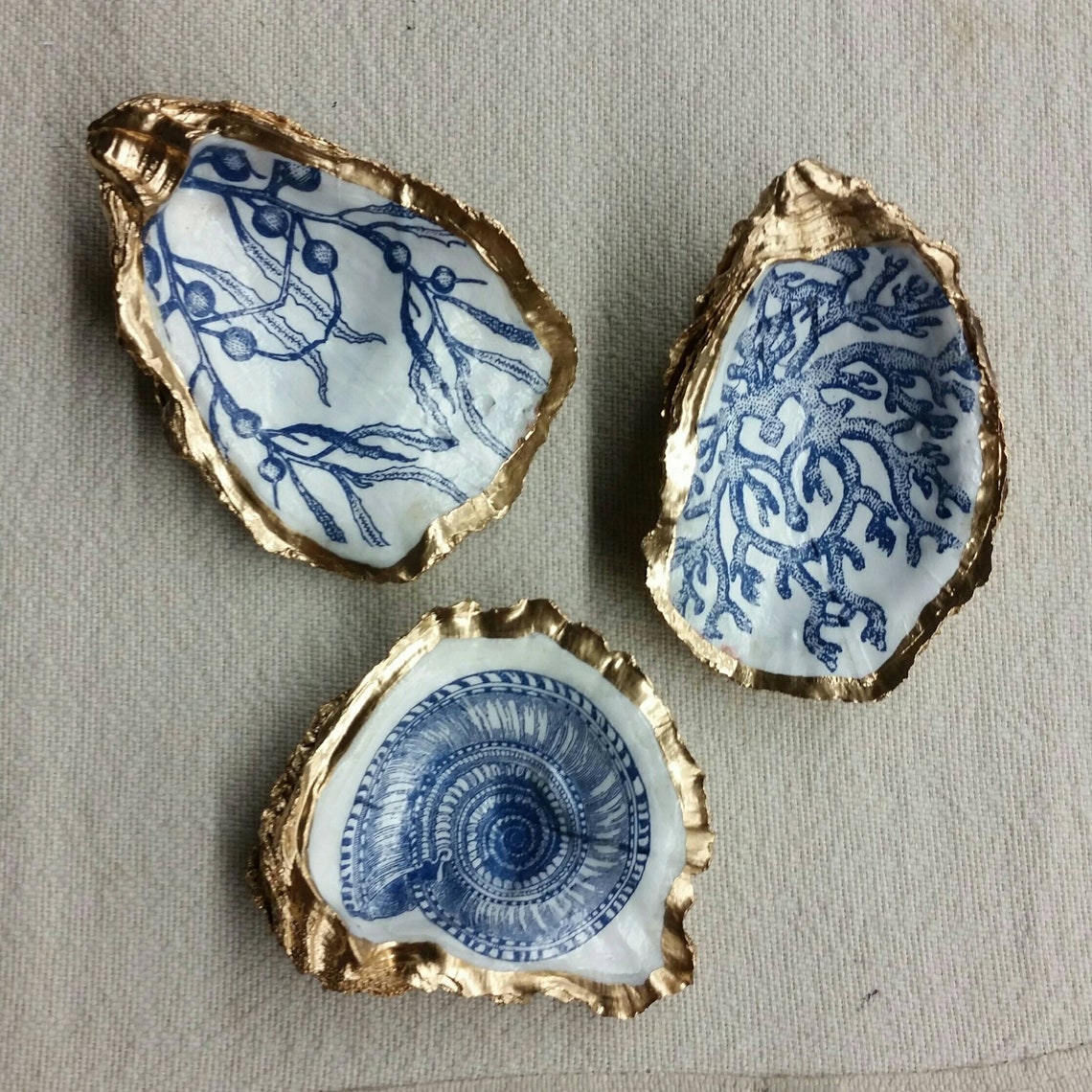 Oyster Shell Blue and White Coastal Hostess Gift Bridesmaid Gift ...