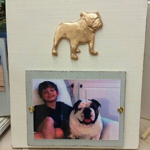 Bulldog on Handmade Wood Picture Frame - Painted White and Distressed ...