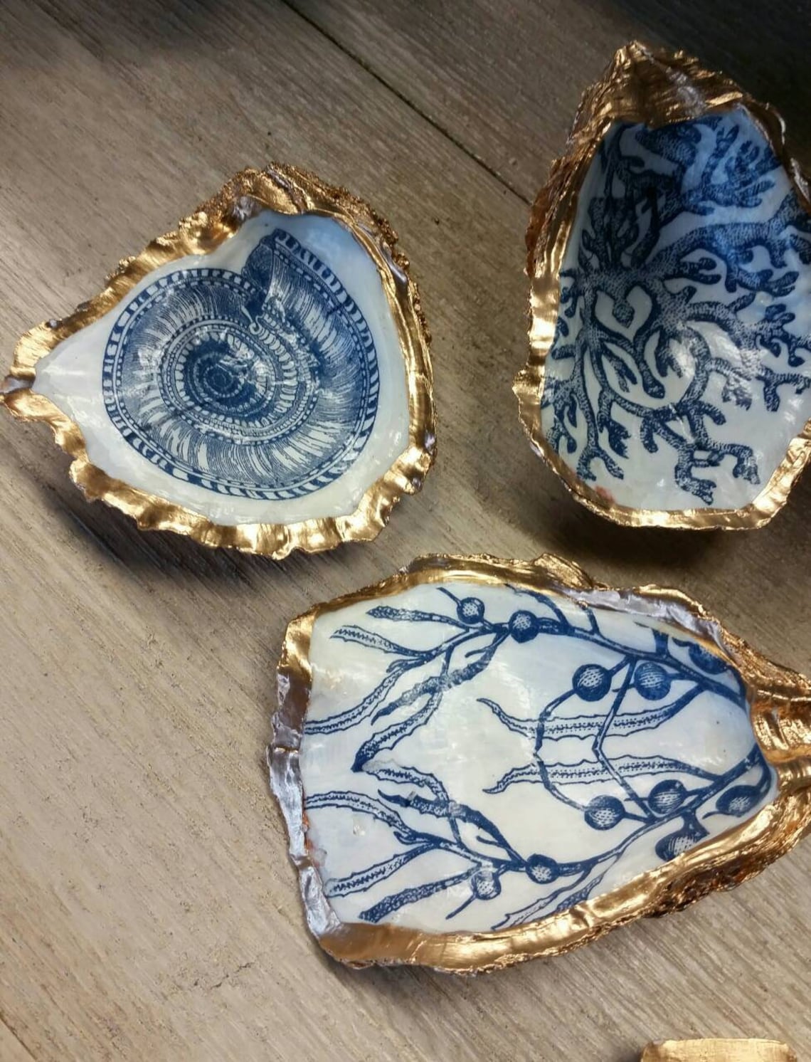 Oyster Shell Blue and White Coastal Hostess Gift Bridesmaid | Etsy