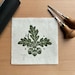 Three Wishes Oak Leaf and Acorn Lino Print - Etsy