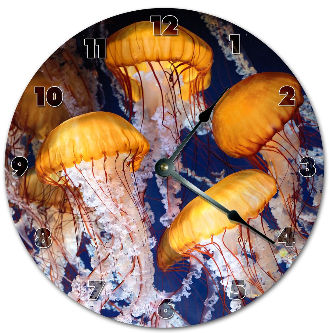 10.5" Stingy JELLYFISH Clock - Living Room Clock - Large 10.5" Wall ...