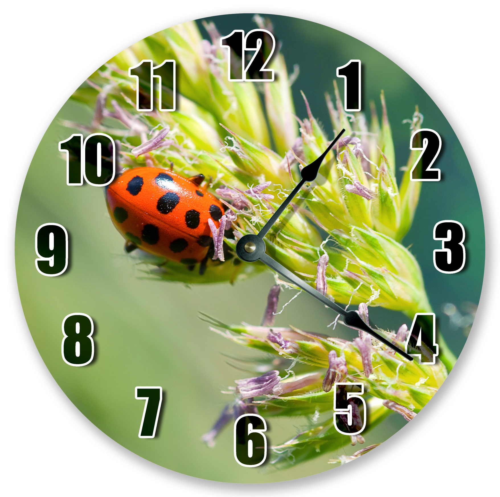 10.5 LADY BUG CLOCK Round Wall Clock Insect Clock | Etsy