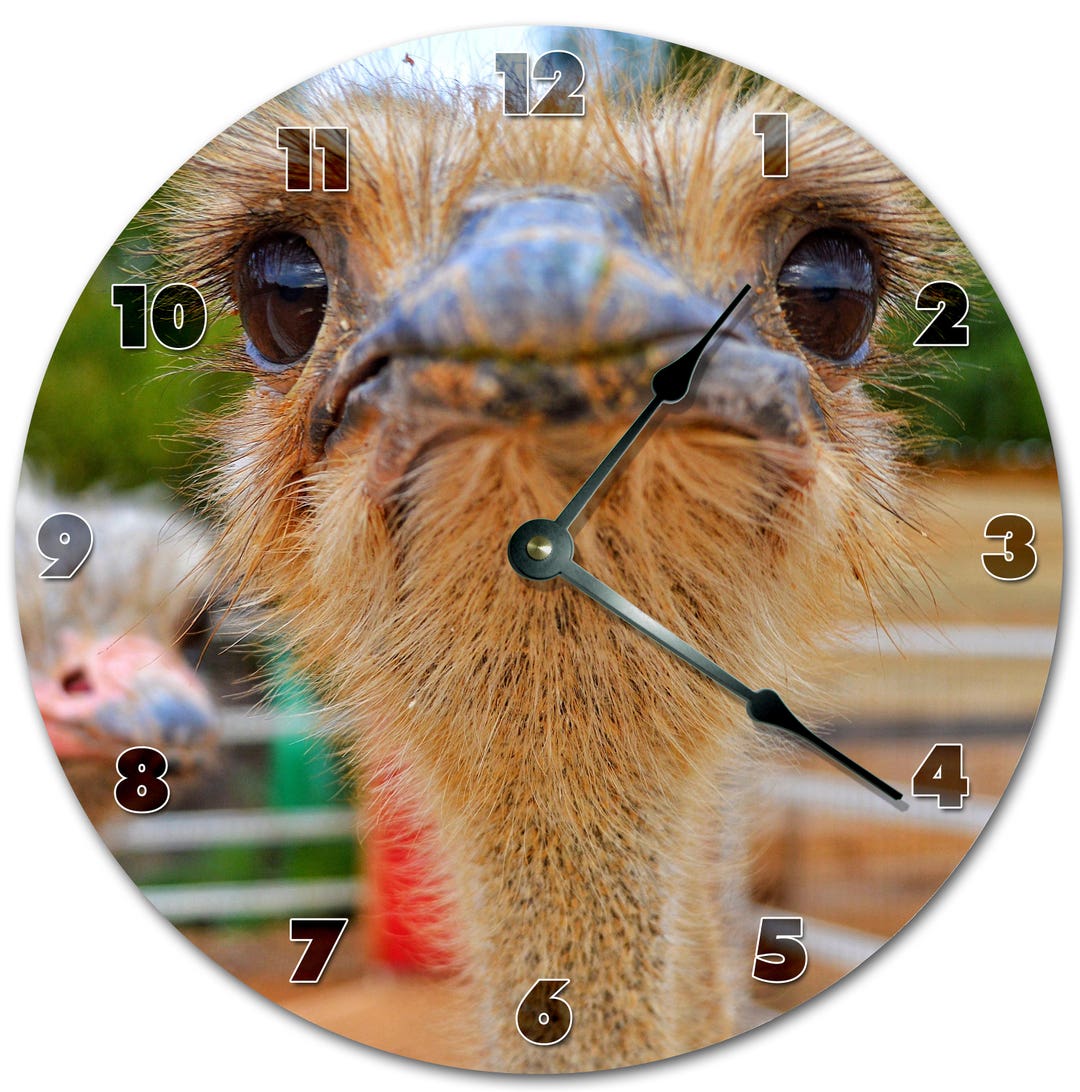 Ostrich Face Clock: 10.5" Silent Wall Decor - Etsy