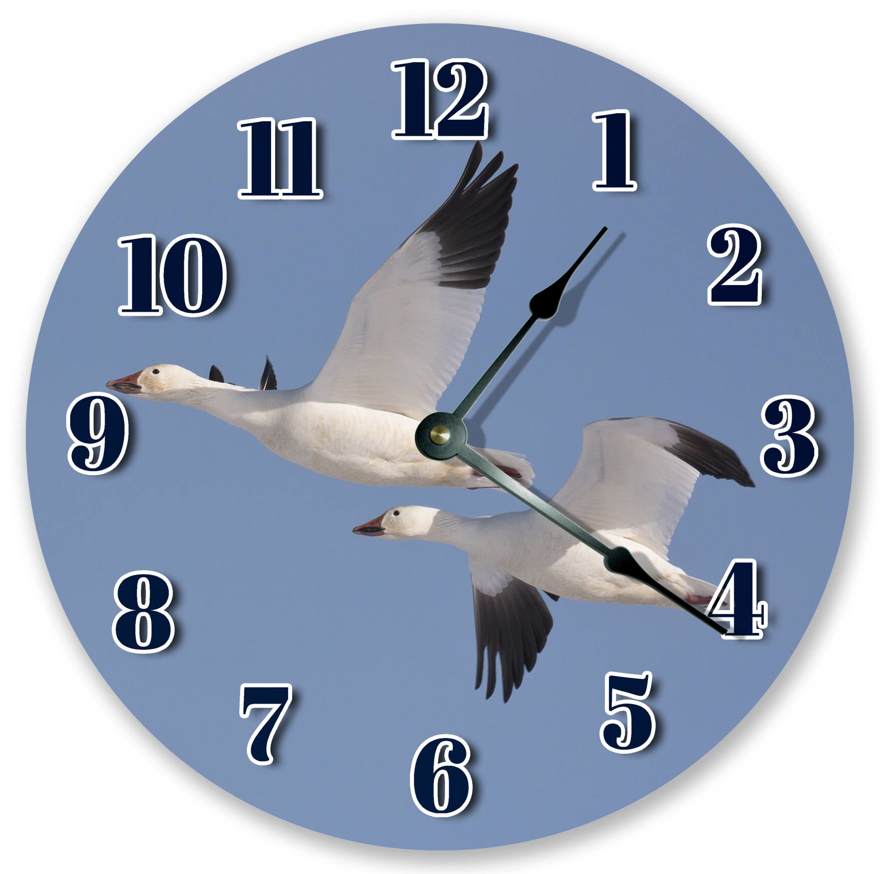 10.5 SNOW GOOSE BIRDS Clock Large 10.5 Wall | Etsy
