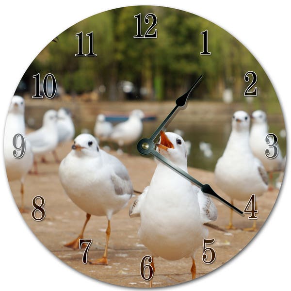 Pigeon Clock - Etsy