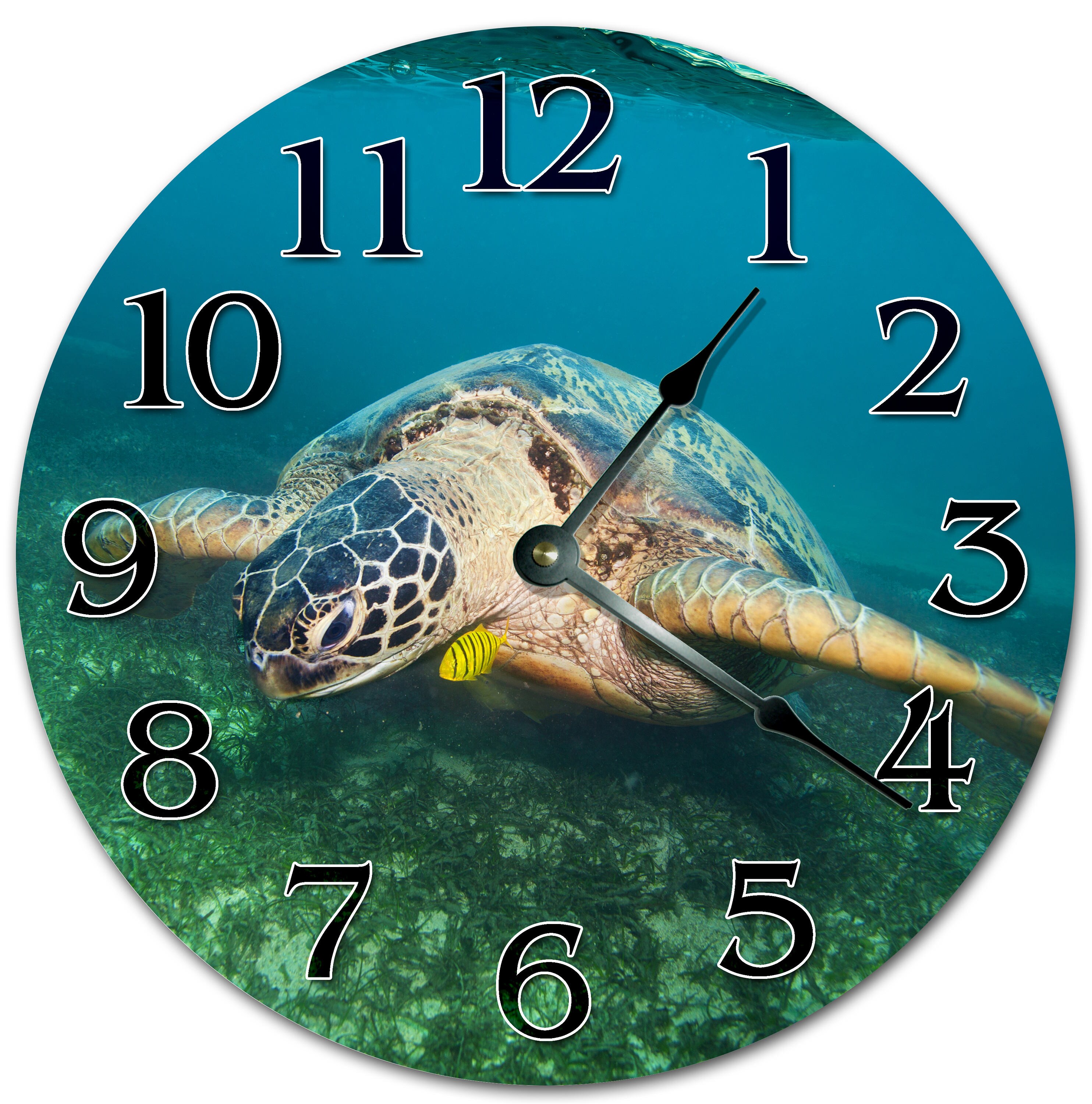 10.5 Adorable Swimming Sea Turtle Clock Living Room | Etsy