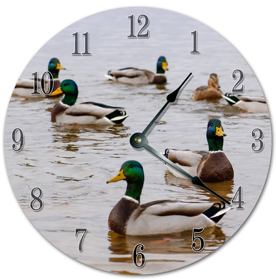 10.5" BANTAM DUCKS Clock - Living Room Clock - Large 10.5" Wall Clock ...