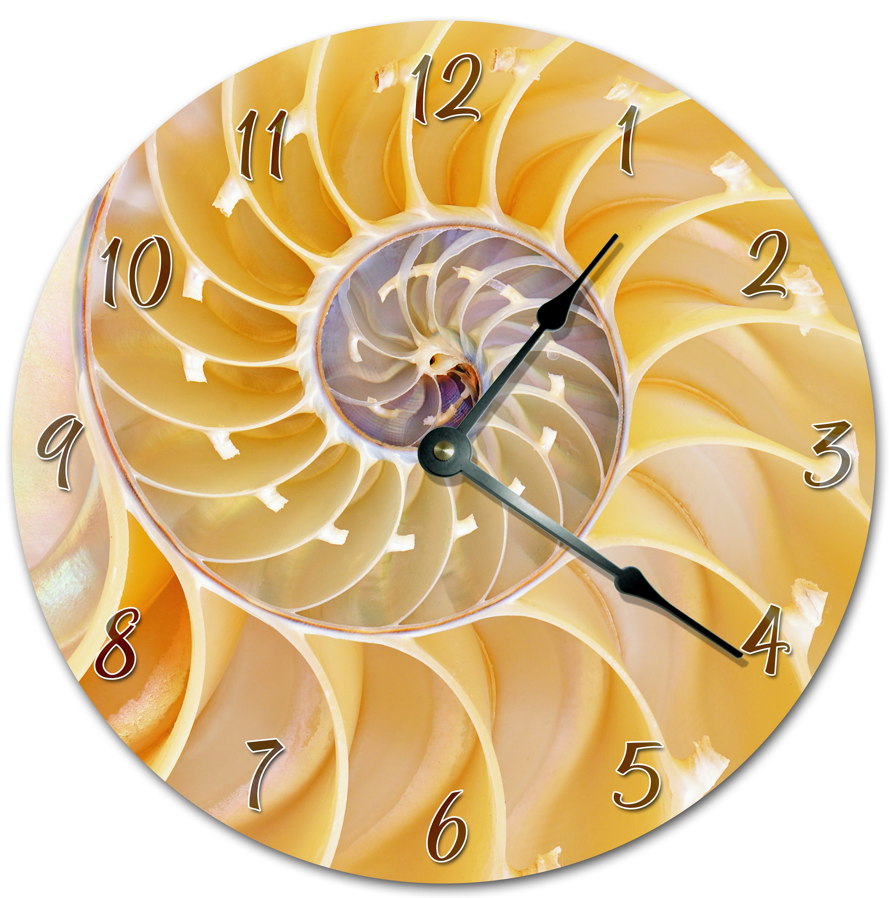 10.5 NAUTILUS SHELL Clock Living Room Clock Large | Etsy