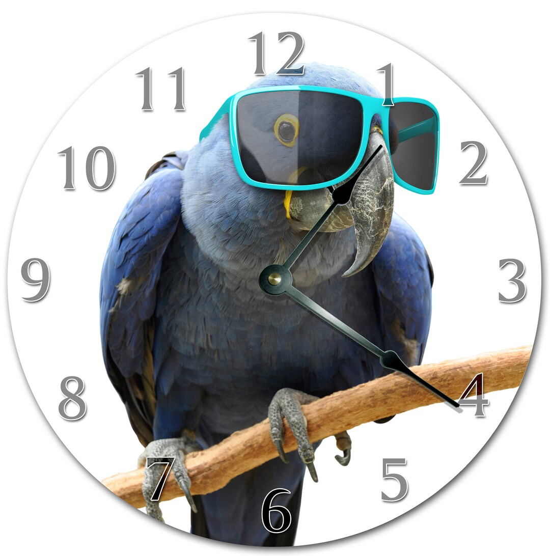 10.5" Cool PARROT in A SUNGLASSES Clock - Living Room Clock - Large 10. ...