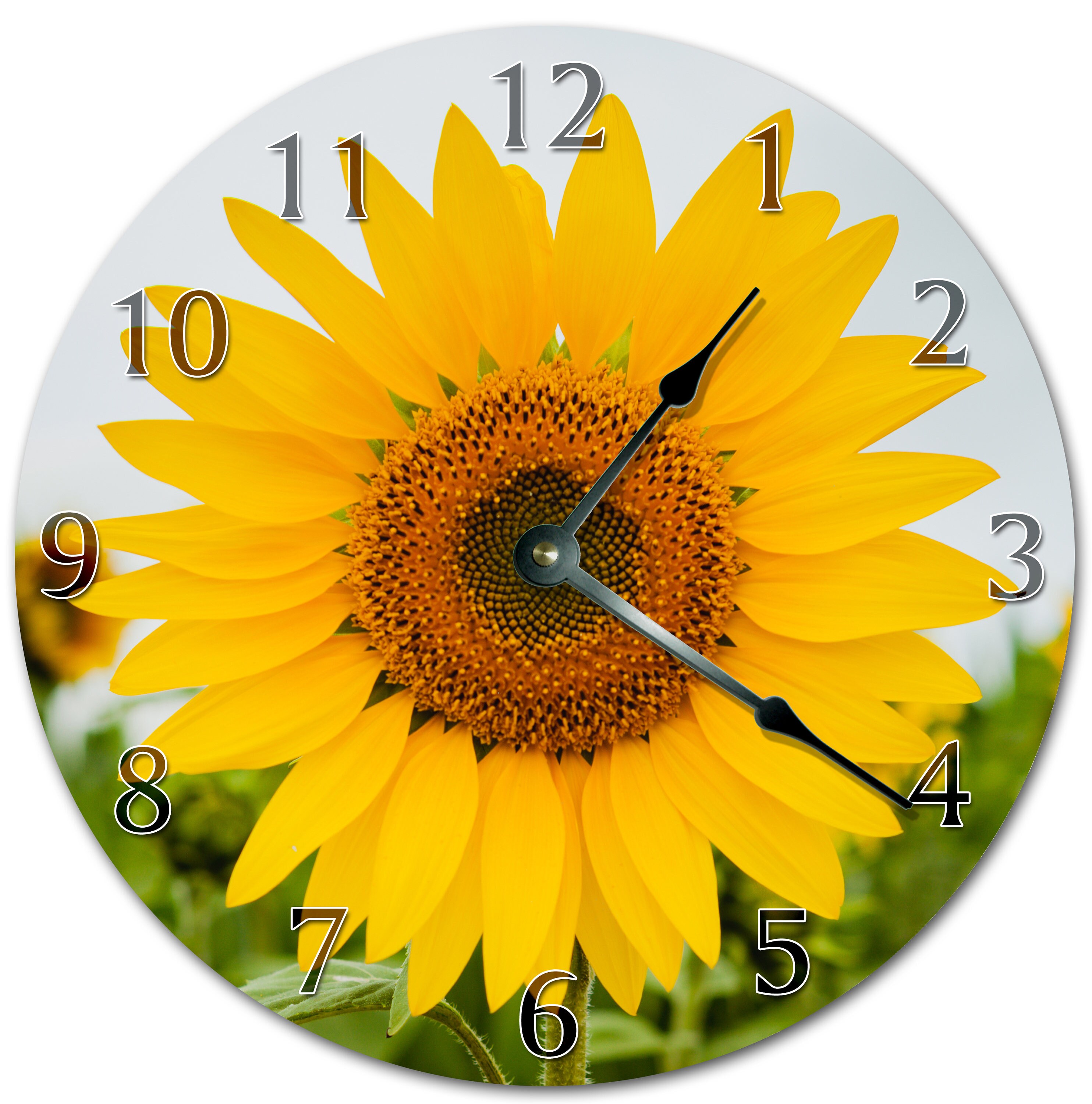 Clocks 2111 SUNFLOWER FIELD Clock Large 10.5 Wall Clock Home Décor Home ...