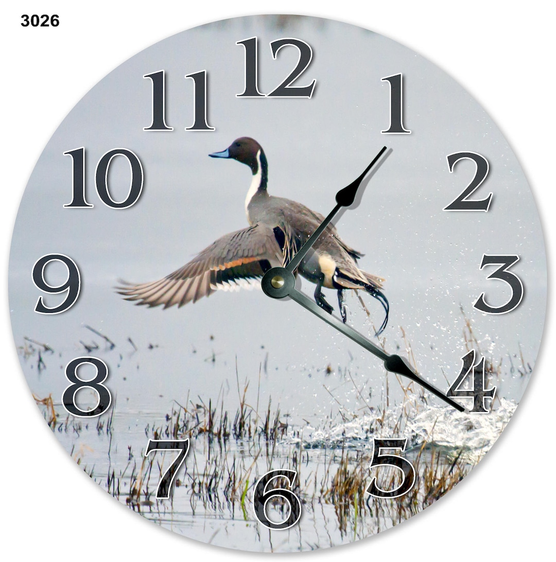 Northern Pintail Duck Clock: 10.5" Cabin Decor Wall Clock - Etsy
