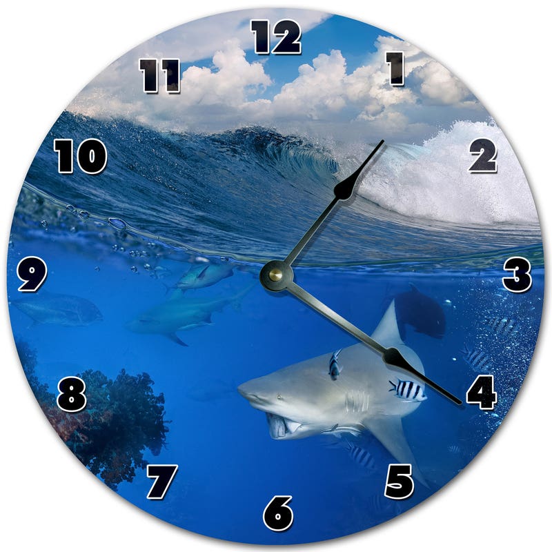 Shark Clocks - Etsy