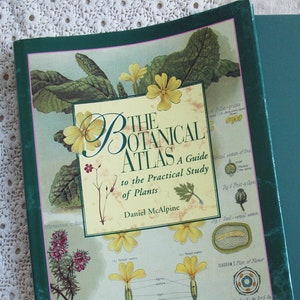 The Botanical Atlas by Daniel Mcalpine Book 19th Century Guide to the ...