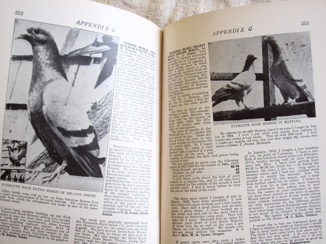 Pigeon Breeding Book : National Standard Squab Book by Elmer C - Etsy