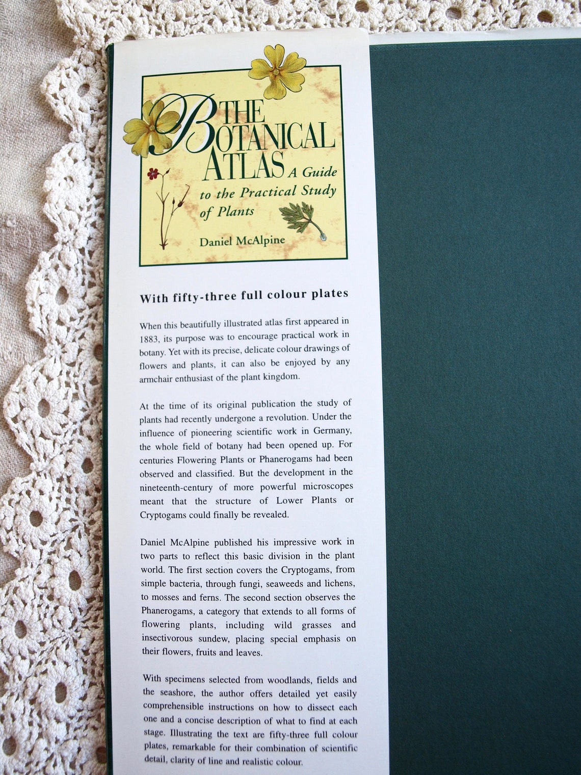 The Botanical Atlas by Daniel Mcalpine Book 19th Century Guide - Etsy