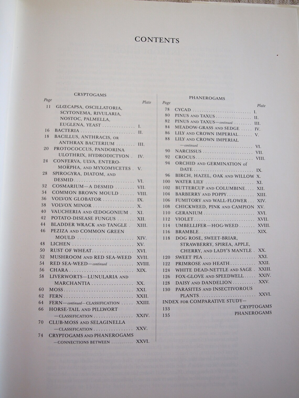 The Botanical Atlas by Daniel Mcalpine Book 19th Century Guide - Etsy