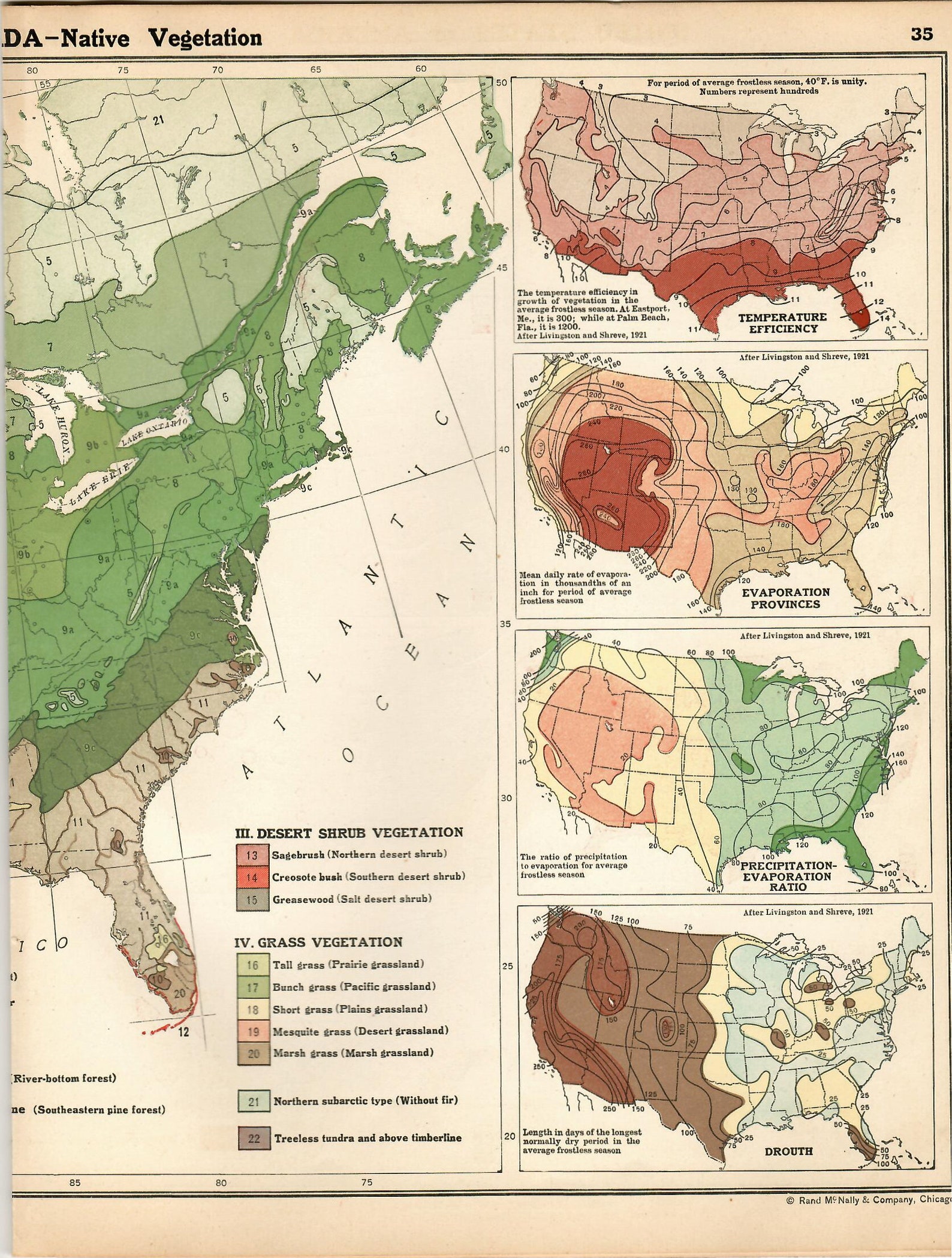 1920s Vegetation of USA & Canada Map Native Vegetation Climate | Etsy