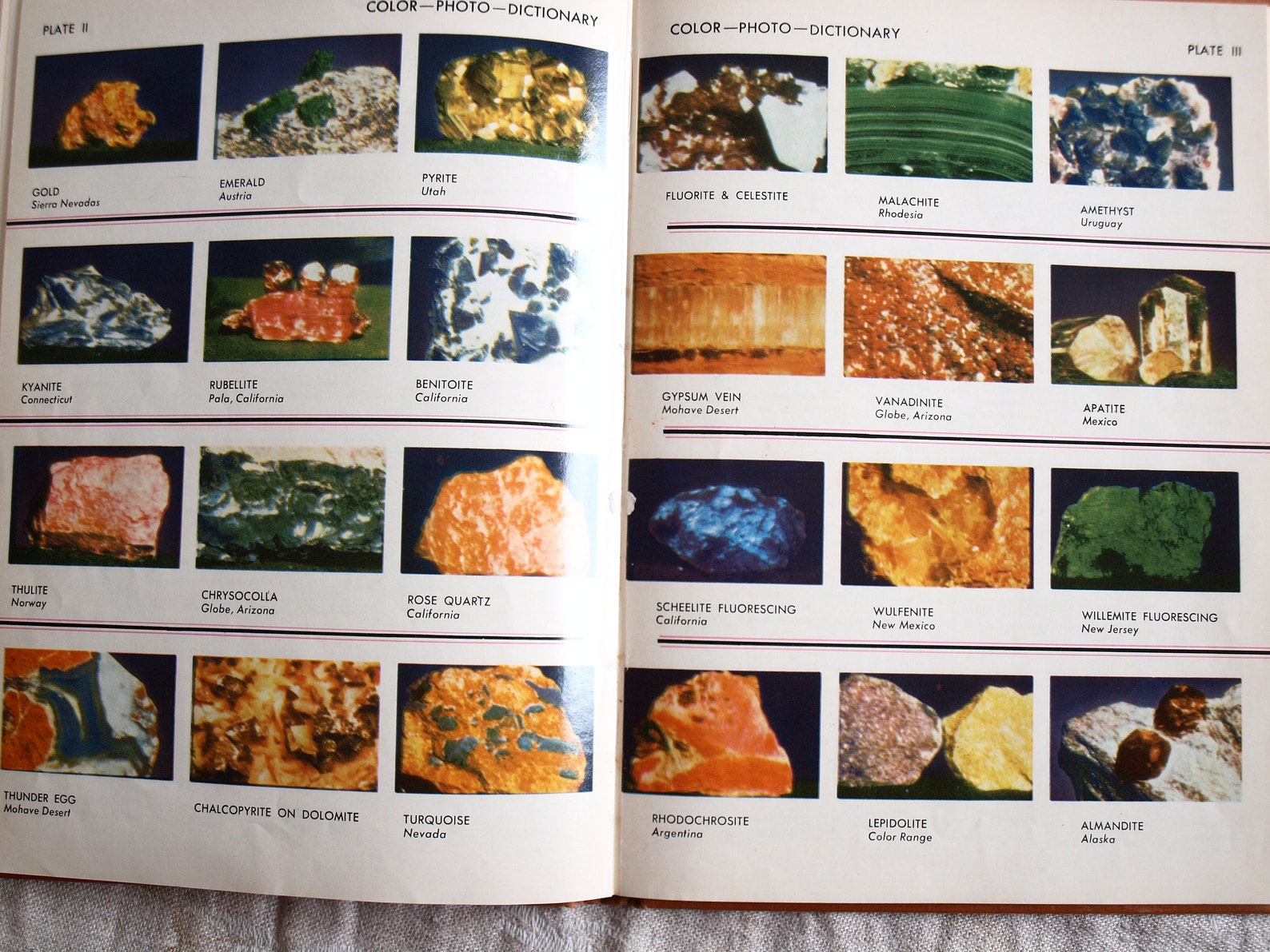 Rocks and Minerals Guide Book for Children Science for Kids - Etsy