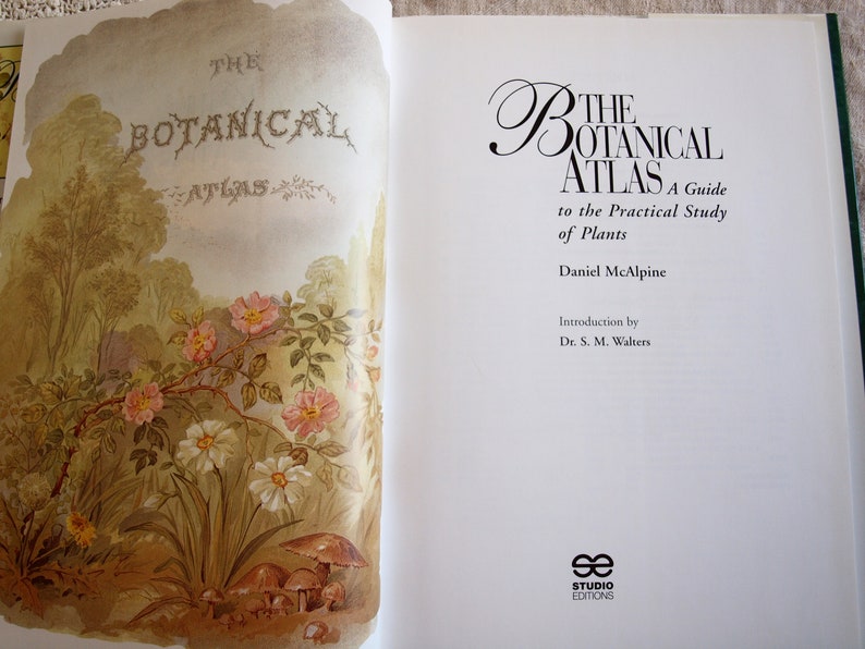 The Botanical Atlas by Daniel Mcalpine Book 19th Century Guide - Etsy