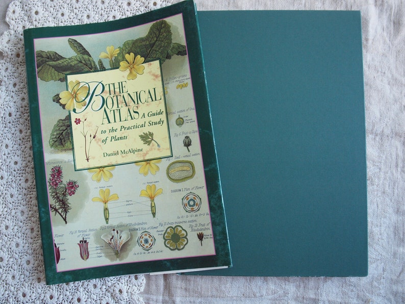 The Botanical Atlas by Daniel Mcalpine Book 19th Century Guide - Etsy