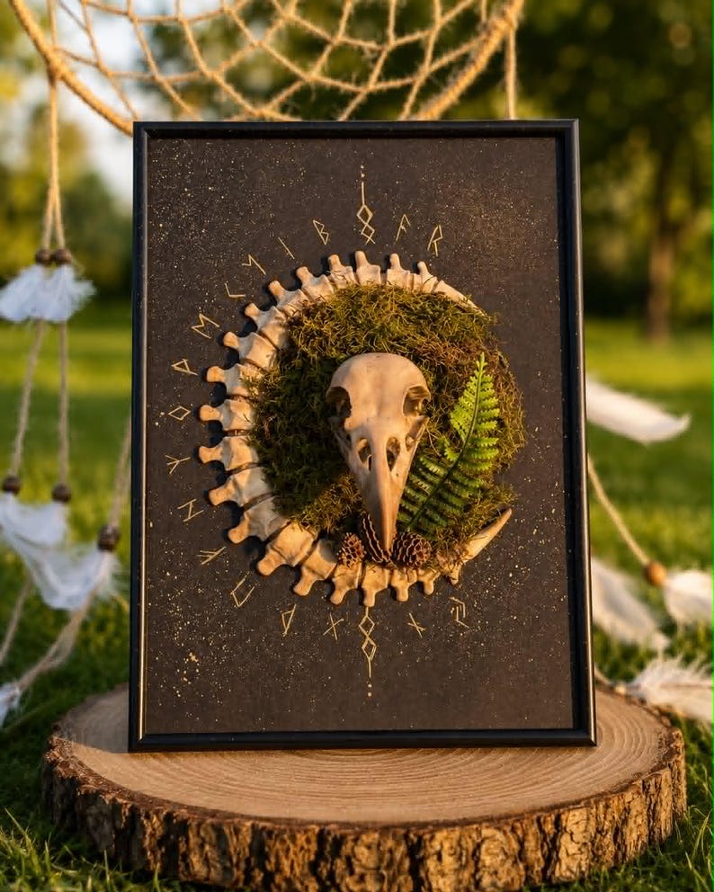 Handmade Raven Skull Frame, Gothic Nature Art With Moss, Crystals ...