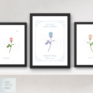 Rose Digital Wall | Botanical Print Set | Floral Design Poster ...