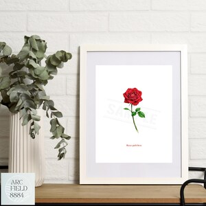 Rose Digital Wall | Botanical Print Set | Floral Design Poster ...