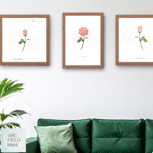 Rose Digital Wall | Botanical Print Set | Floral Design Poster ...